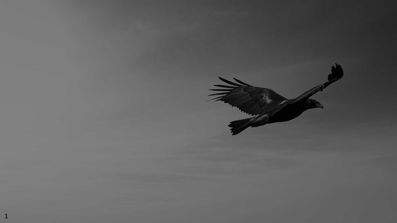 AUB Group enters into an Equity Partnership with Movo Group of Companies and Durell Software ...